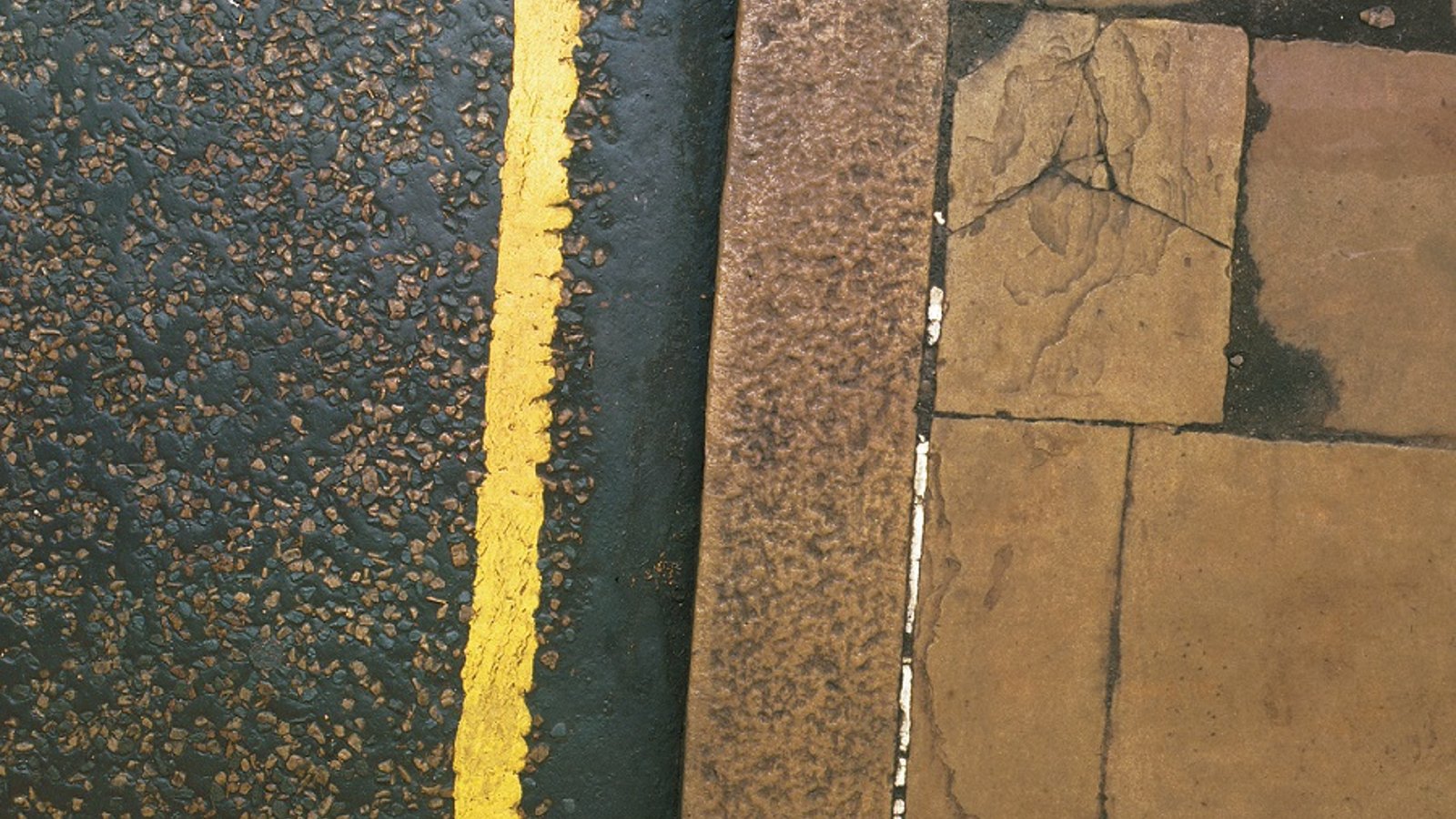 Boyle Family | Kanopy