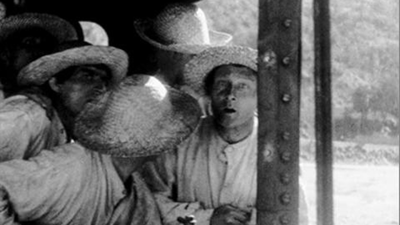 The Human Bridge | Kanopy